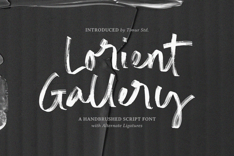 Lorient Gallery - Handbrushed Script Font - So Fontsy