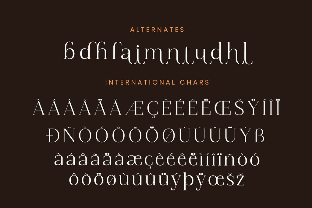 Magnetic Azuhster - Minimalist Serif Font - So Fontsy