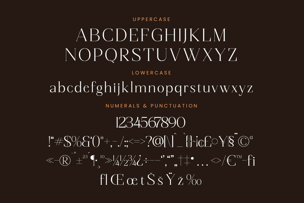 Magnetic Azuhster - Minimalist Serif Font - So Fontsy