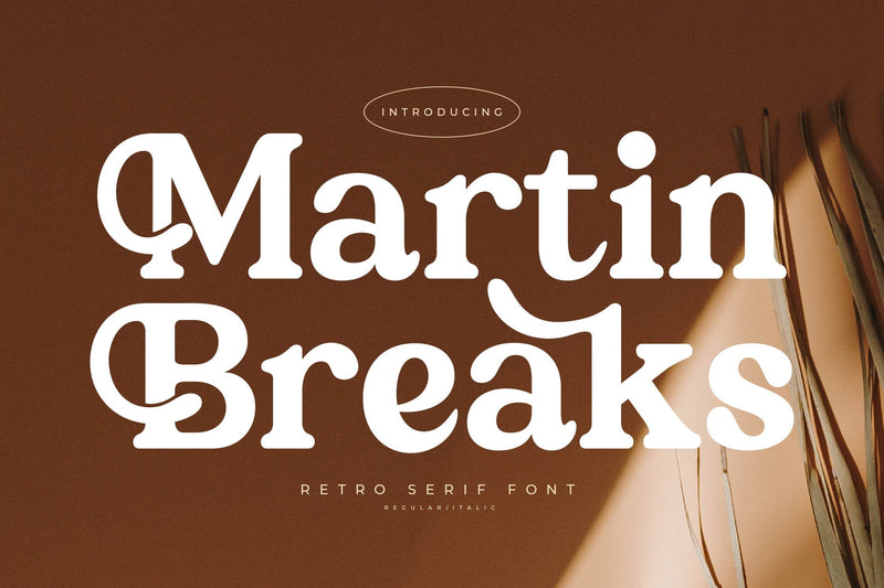 Martin Breaks - Retro Serif Font - So Fontsy