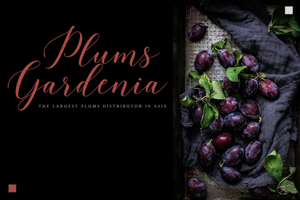 Matilda Modern Calligraphy - So Fontsy