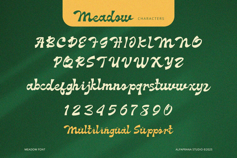 Meadow - Groove Script Font - So Fontsy