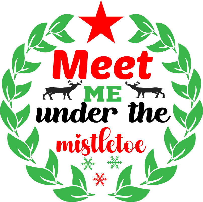 Meet me under the mistletoe (2) - So Fontsy