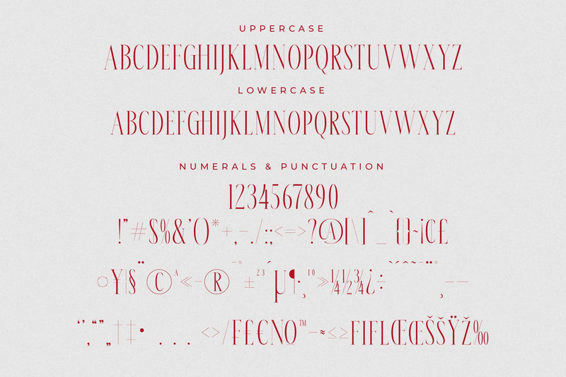 Meksron - Modern Serif Font - So Fontsy