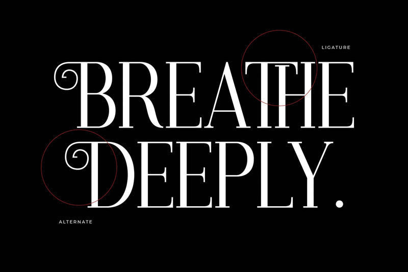 Menistra - Modern Serif Font - So Fontsy