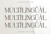 Metrolin – Modern Serif Font - So Fontsy