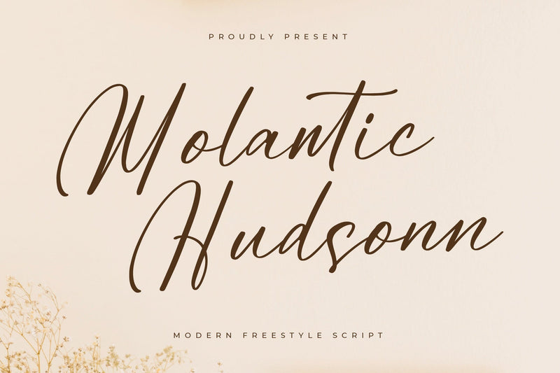 Molantic Hudsonn - Modern Freestyle Script - So Fontsy