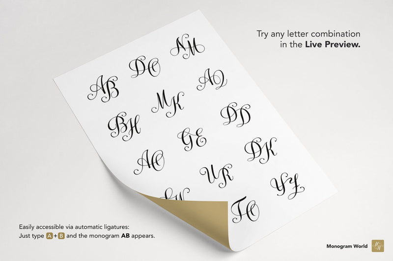 Monogramica Script – Unique Monogram Font - So Fontsy