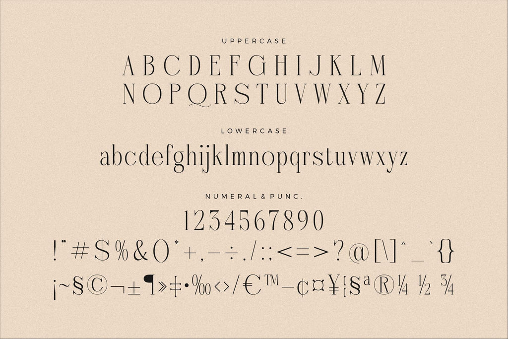 Nebiard - Classic Serif Font - So Fontsy