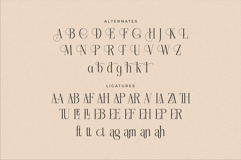 Nebiard - Classic Serif Font - So Fontsy