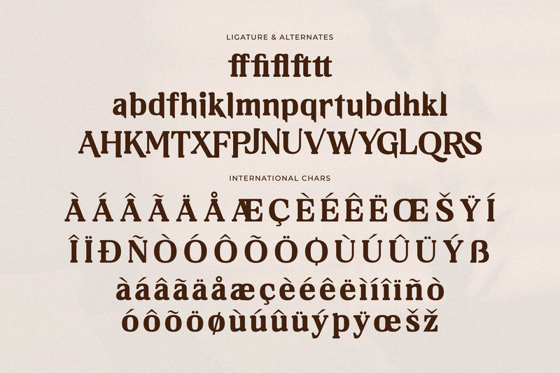 Neraphic - Modern Serif Font - So Fontsy