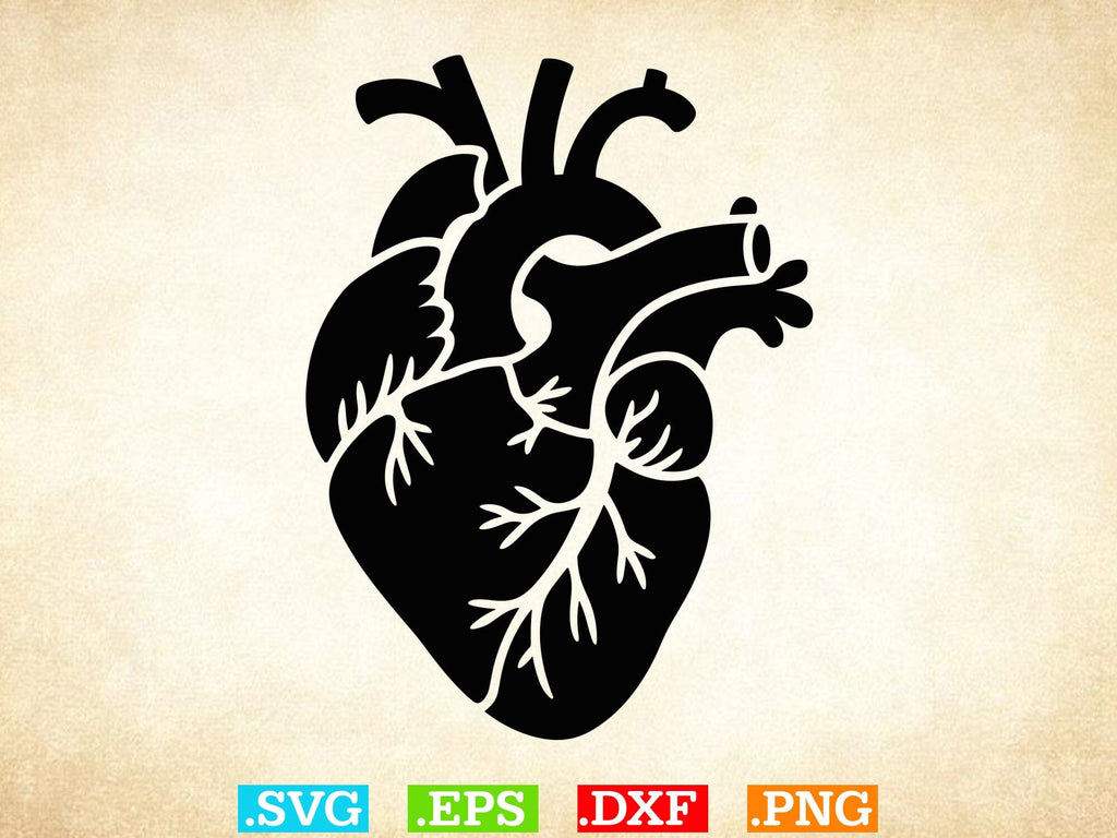 Organs Svg Bundle, Organ Silhouette, Organs Cut Files, Organs Laser Cut ...