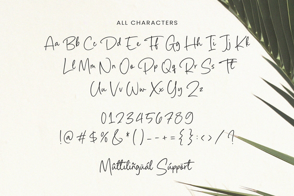 Palms Delight - Handwritten Script Font - So Fontsy