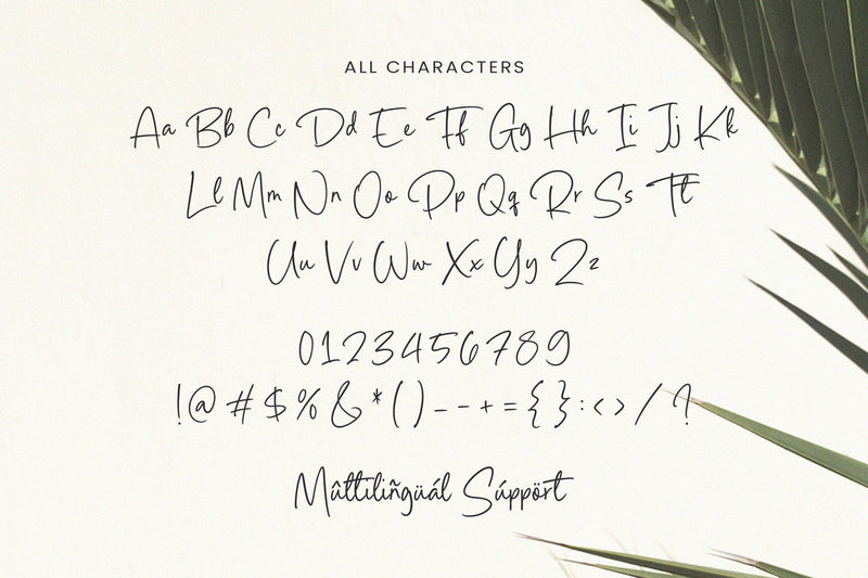 Palms Delight - Handwritten Script Font - So Fontsy