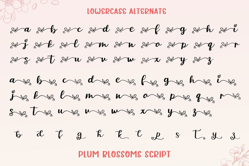 Plum Blossoms Font Duo - So Fontsy