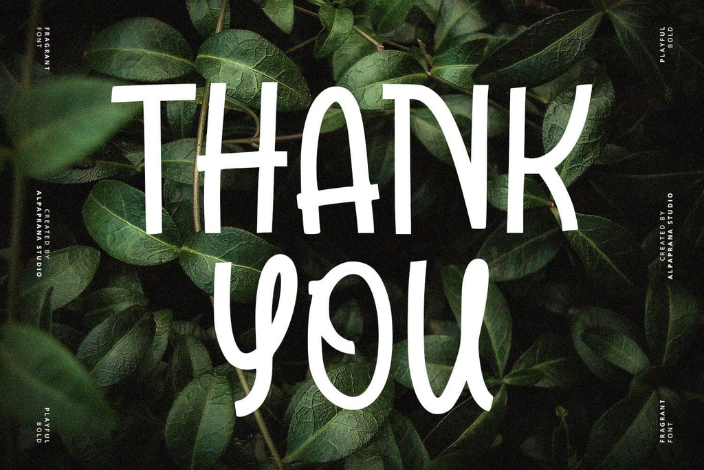 Prolific - Playful Font - So Fontsy