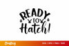 Ready to hatch! SVG Design - So Fontsy