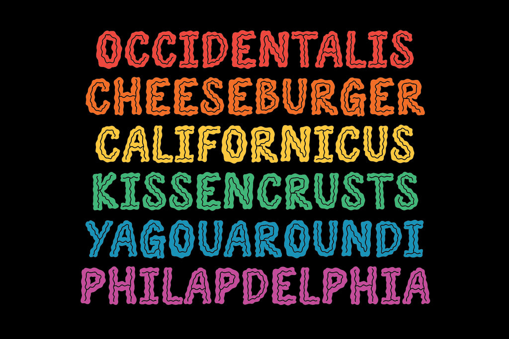 Ripple Wavy Hand-Lettered Inline Font - So Fontsy