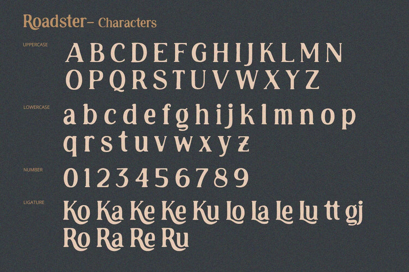 Roadster - Rough Display - So Fontsy