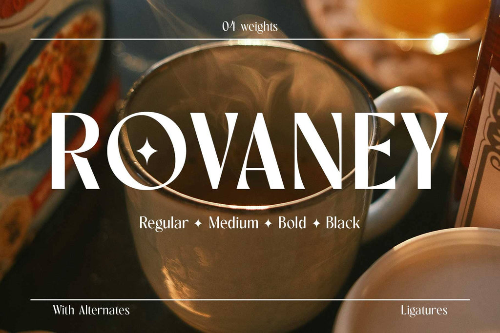 Rovaney – Fancy Font Family - So Fontsy