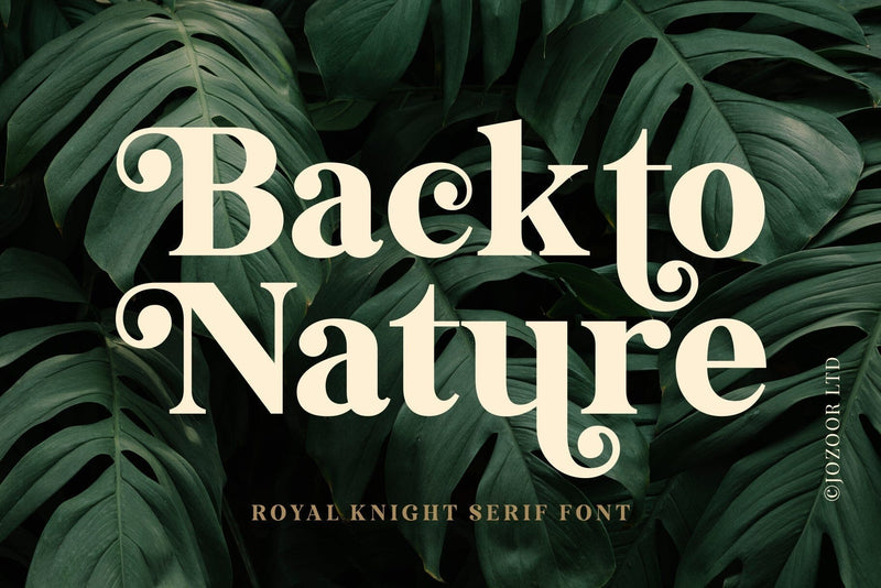 Royal Knight - Modern Serif Font - So Fontsy