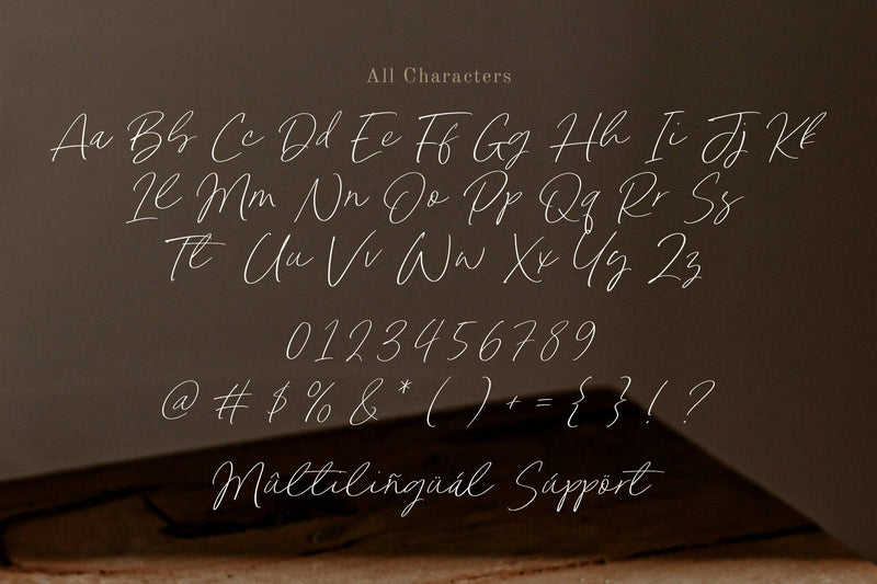 Rustic Buffet - Modern Handwritten Script Font - So Fontsy