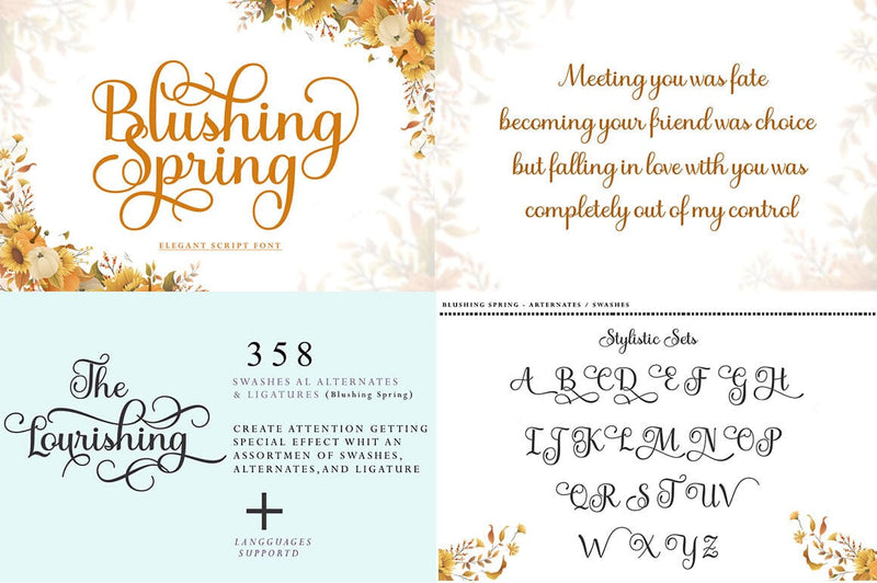 Script Collection Font Bundle - So Fontsy