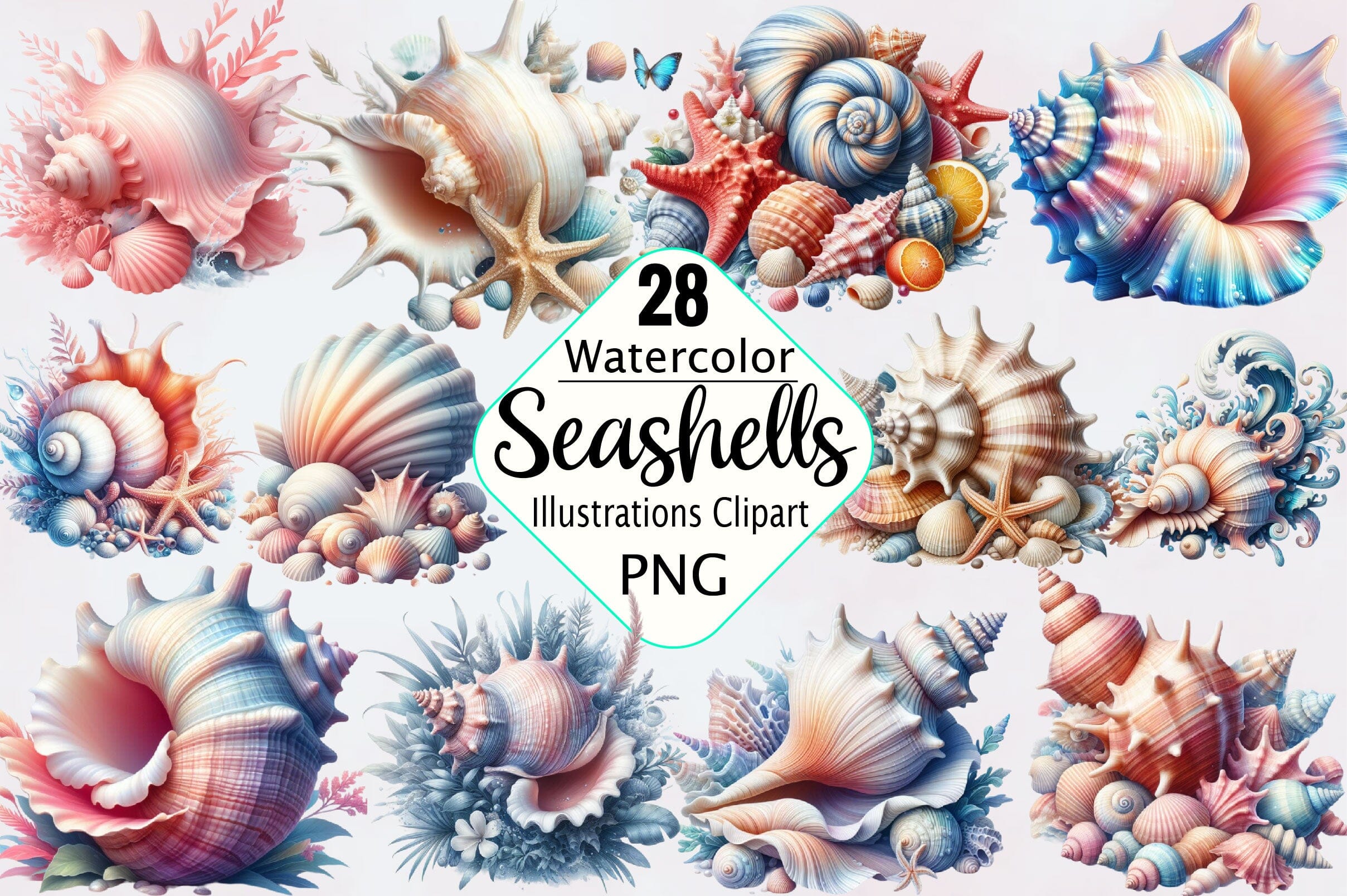Seashells Clipart, Seashell PNG Clipart Bundle - So Fontsy