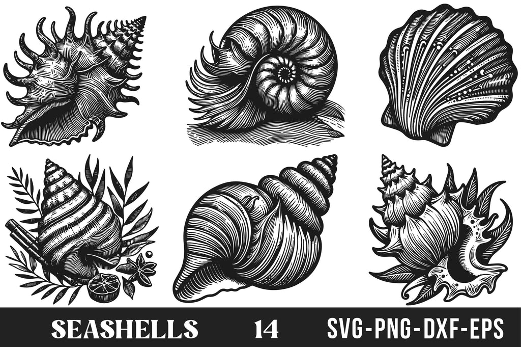 Seashells SVG Bundle - So Fontsy