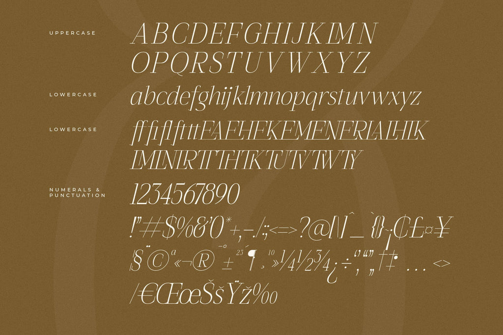 Seraphine - Modern Font Serif - So Fontsy