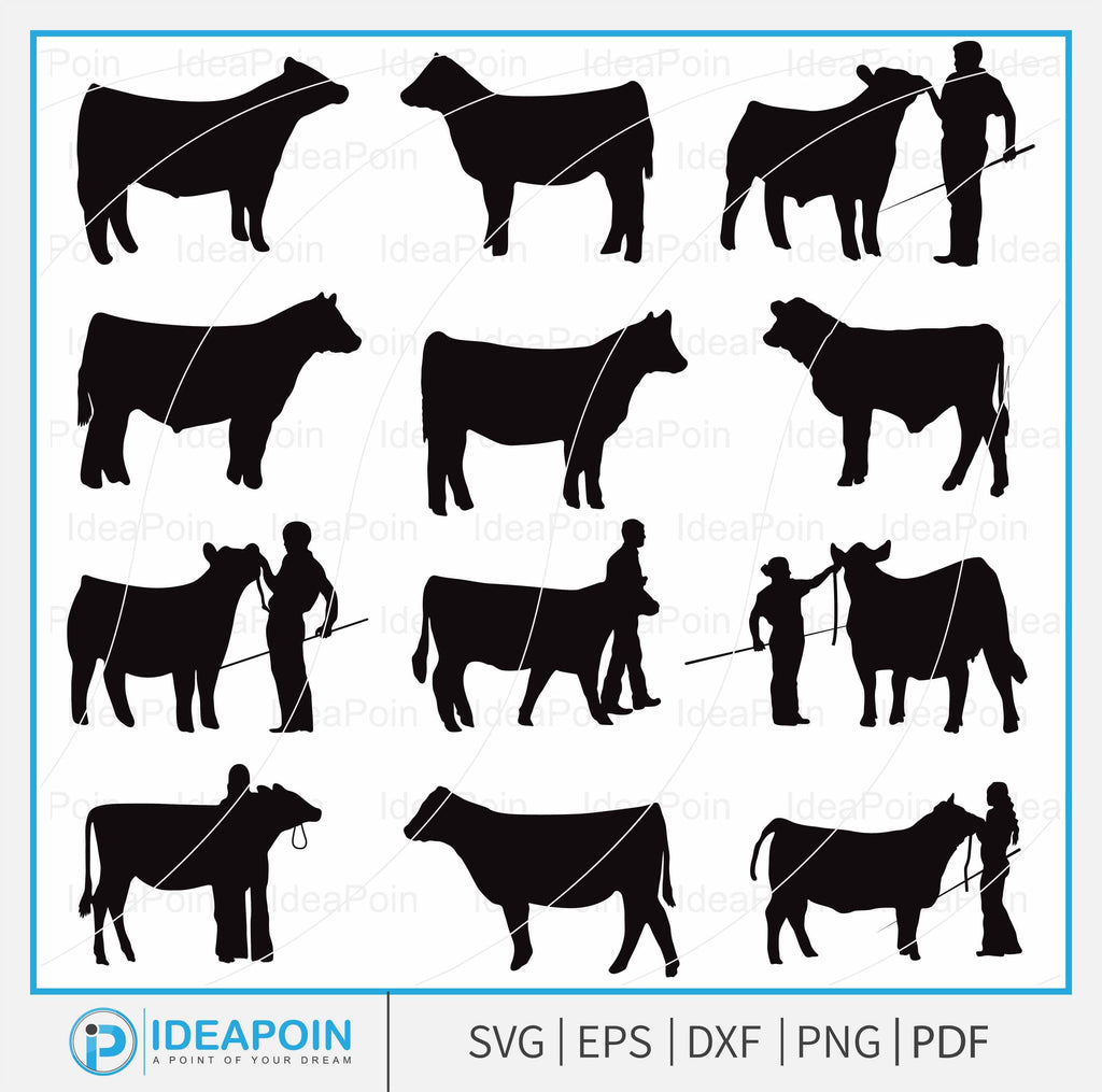Show Heifer svg, show heifer PNG, Livestock svg, Farm Animal SVG File ...