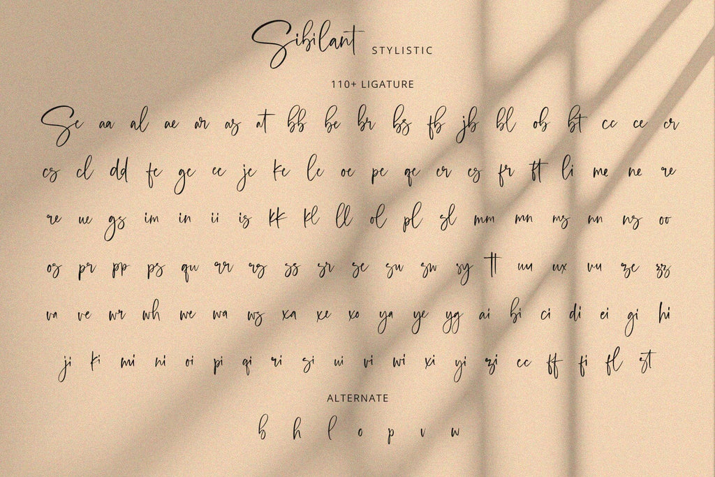 Sibilant - Handwritten Font - So Fontsy