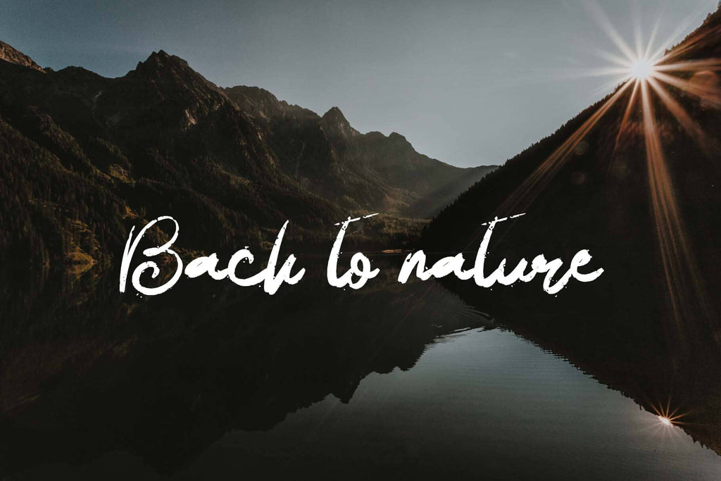 Spring Shadow - So Fontsy