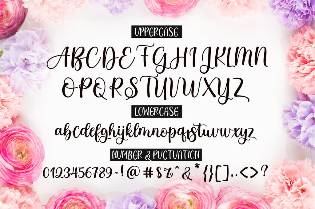 Story love Script Font Duo - So Fontsy