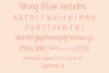 String Bikini, Cute Handwritten Font, Planner Fonts - So Fontsy