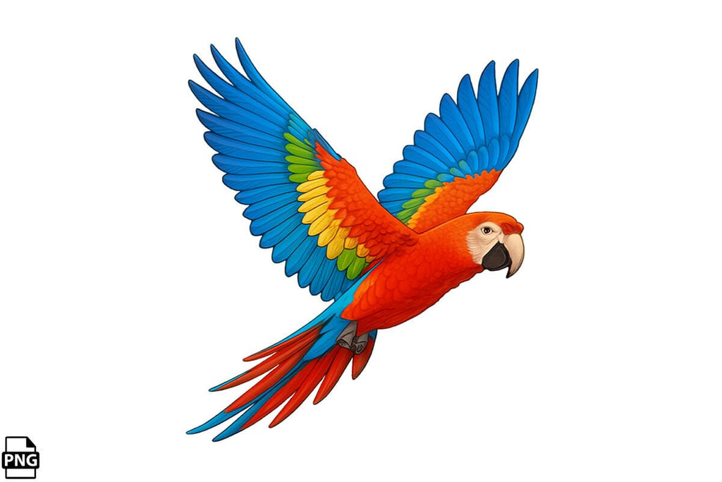 Summer Parrot PNG Clipart Bundle Printable File - So Fontsy