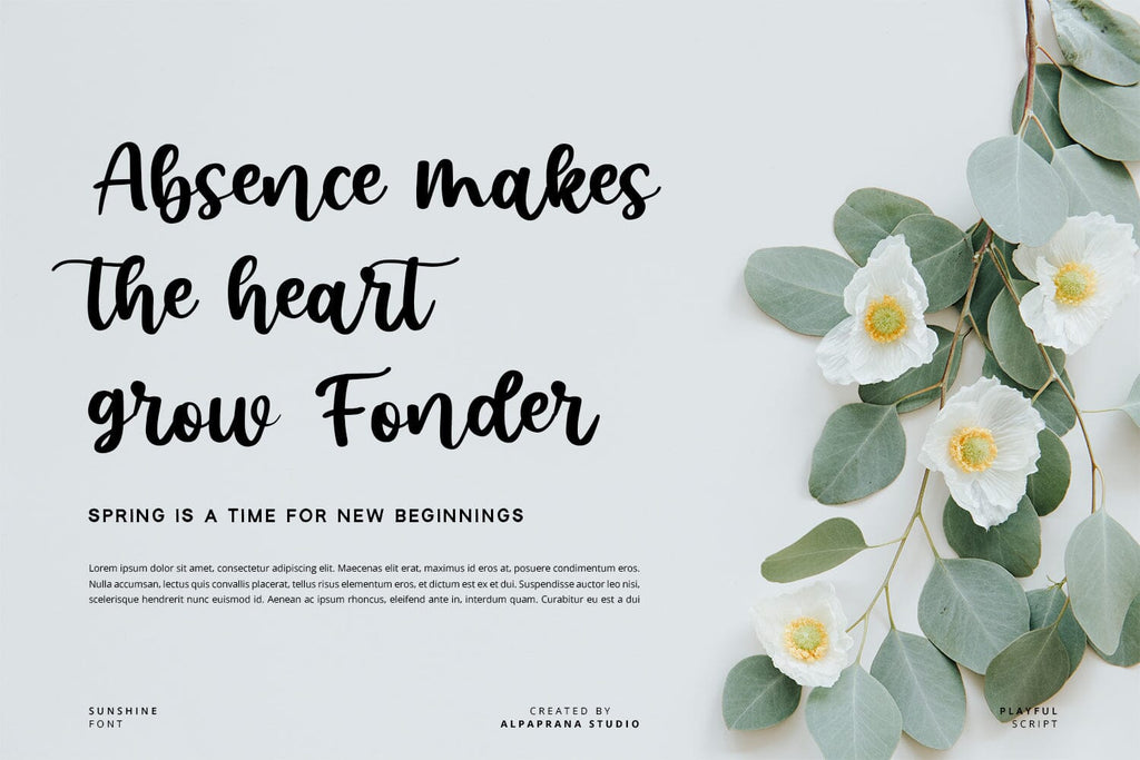 Sunshine - Script Font - So Fontsy