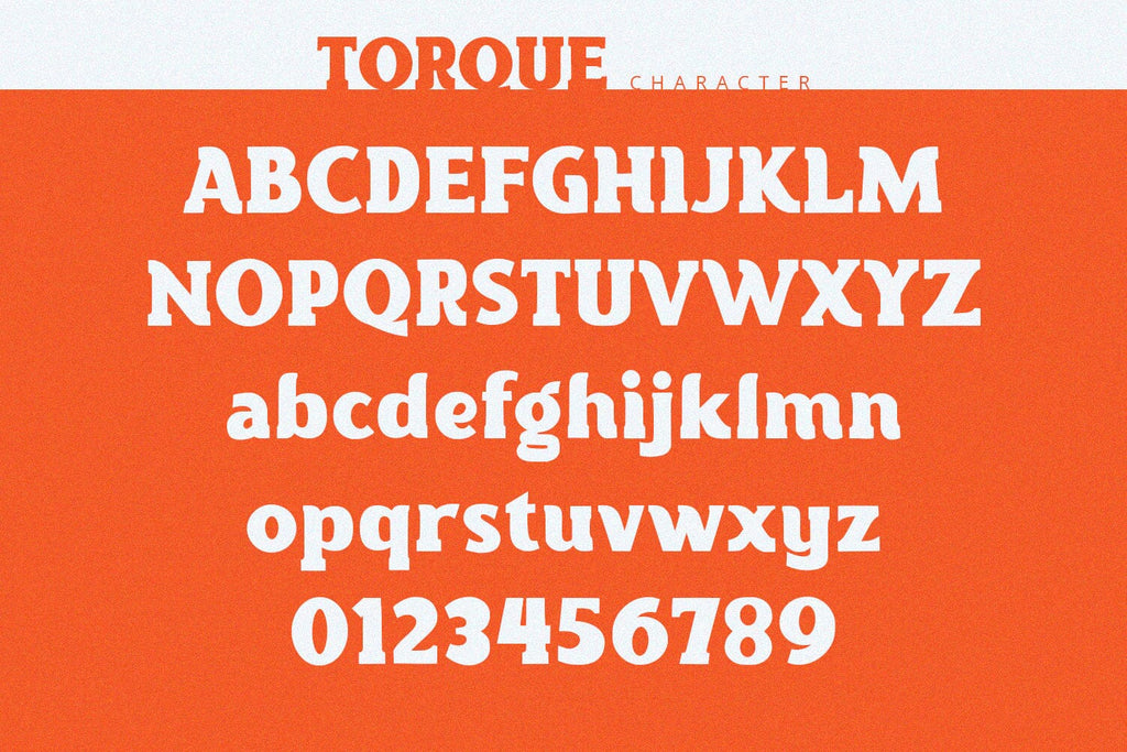 Torque - Serif Font - So Fontsy