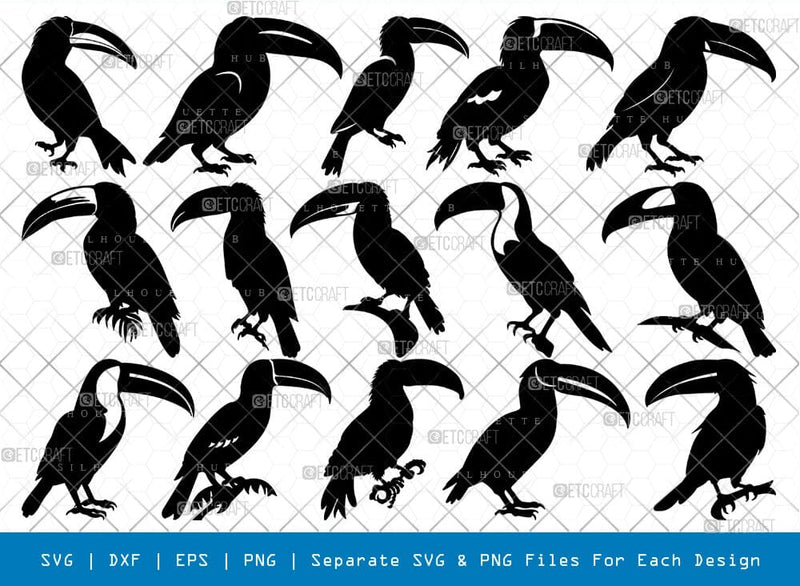 Toucan Svg Cricut Cut Files Png Bundle, SB01149 - So Fontsy