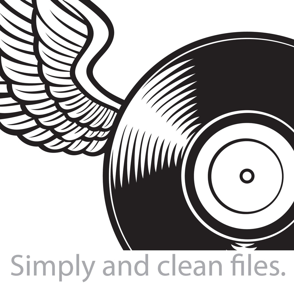 Vinyl Disc (record) with Wings. Flying Vinyl. Cut files for Cricut ...