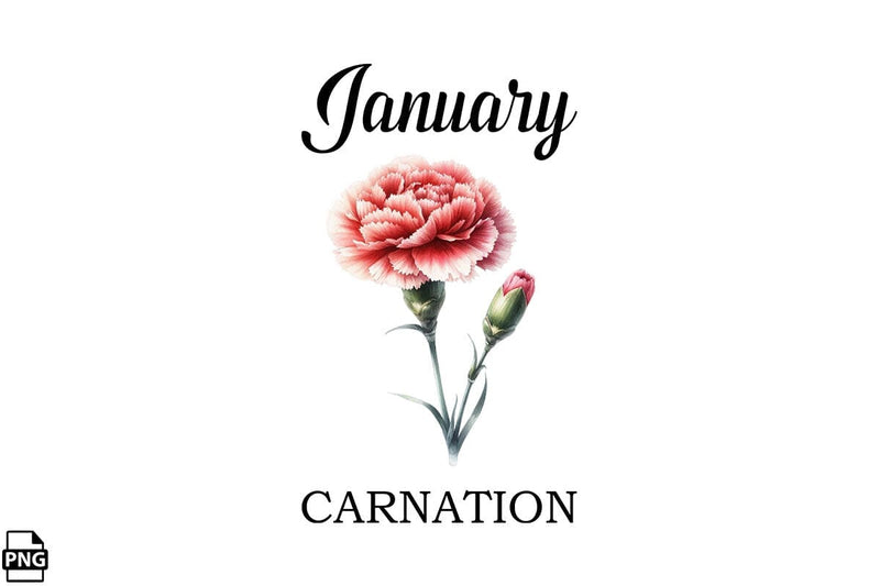 Watercolor Birth Month Flower January Carnation Clipart Printable File ...