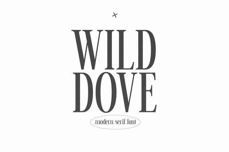Wild Dove - Edgy Serif Font - So Fontsy