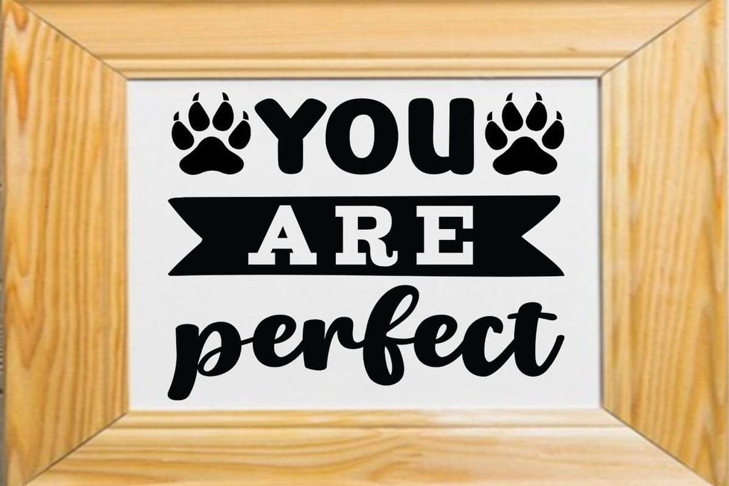 You are perfect-01 - So Fontsy