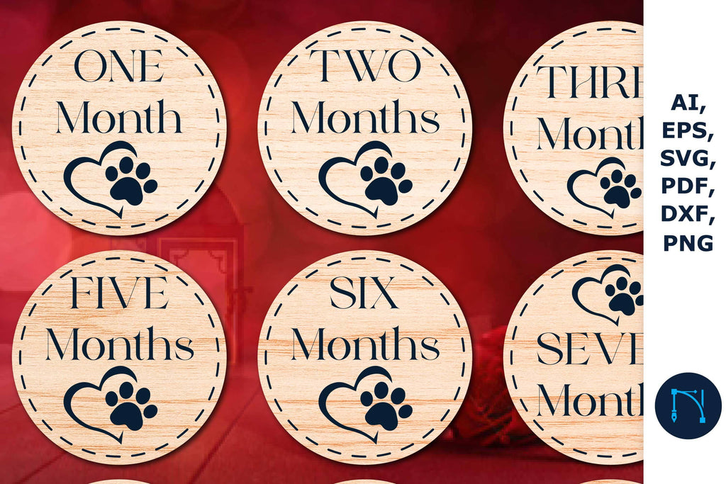 12 Monthly Baby Milestones SVG bundle - So Fontsy