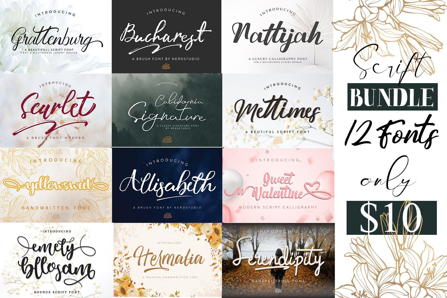 12 Wonderful Script Bundle - So Fontsy