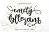 12 Wonderful Script Bundle - So Fontsy