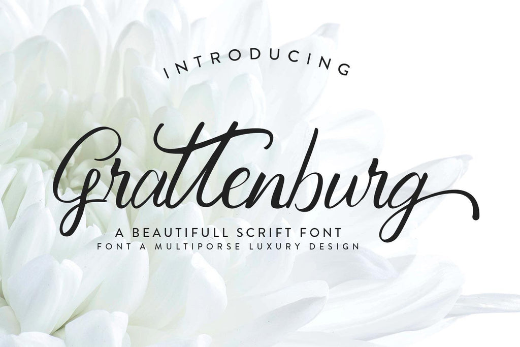 12 Wonderful Script Bundle - So Fontsy