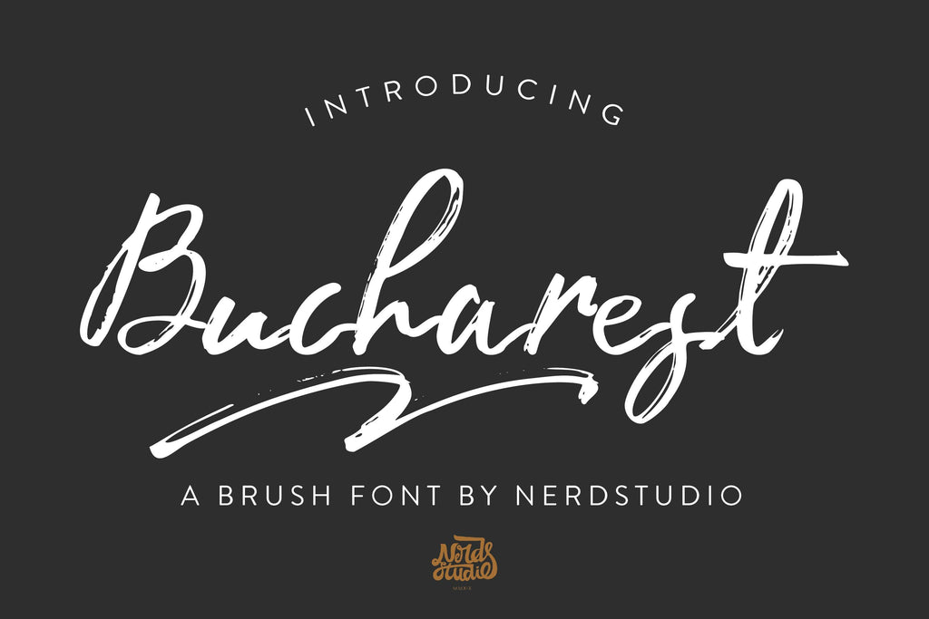 12 Wonderful Script Bundle - So Fontsy