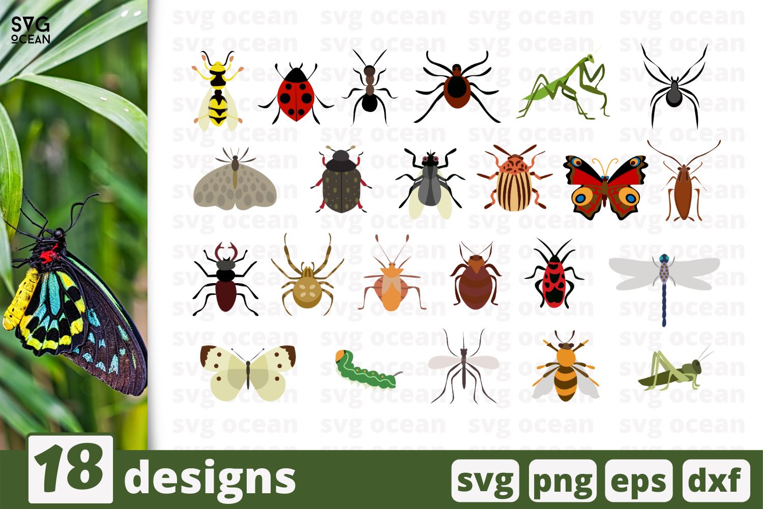 18 Insects designs cricut svg - So Fontsy