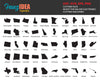 50 States SVG Mega Bundle For United States Maps, American States ...